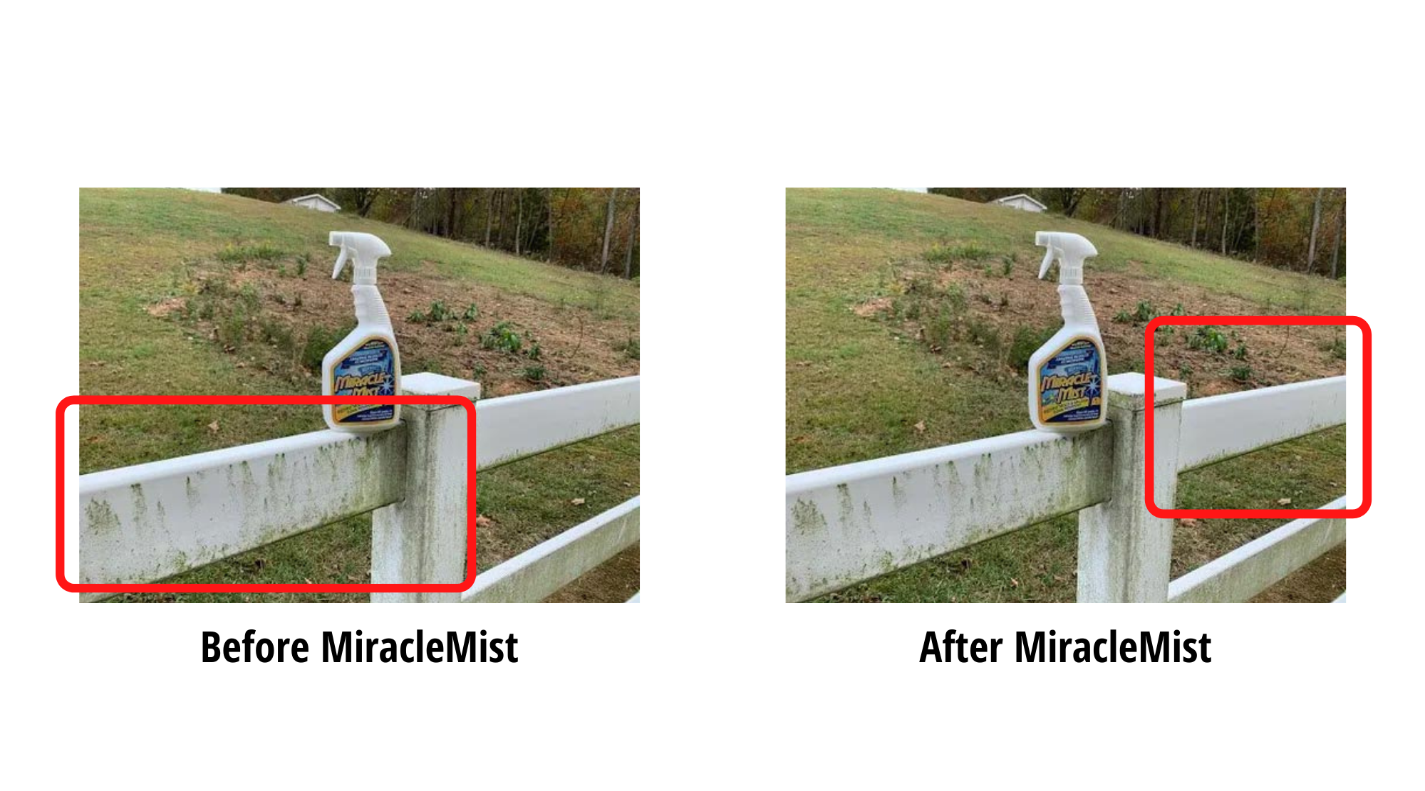 Ultimate Guide for Mold and Mildew Removal | MiracleMist