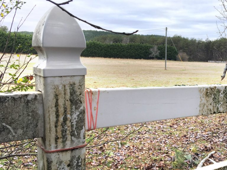 Mold and Mildew Remover | Mildew Cleaner | MiracleMist